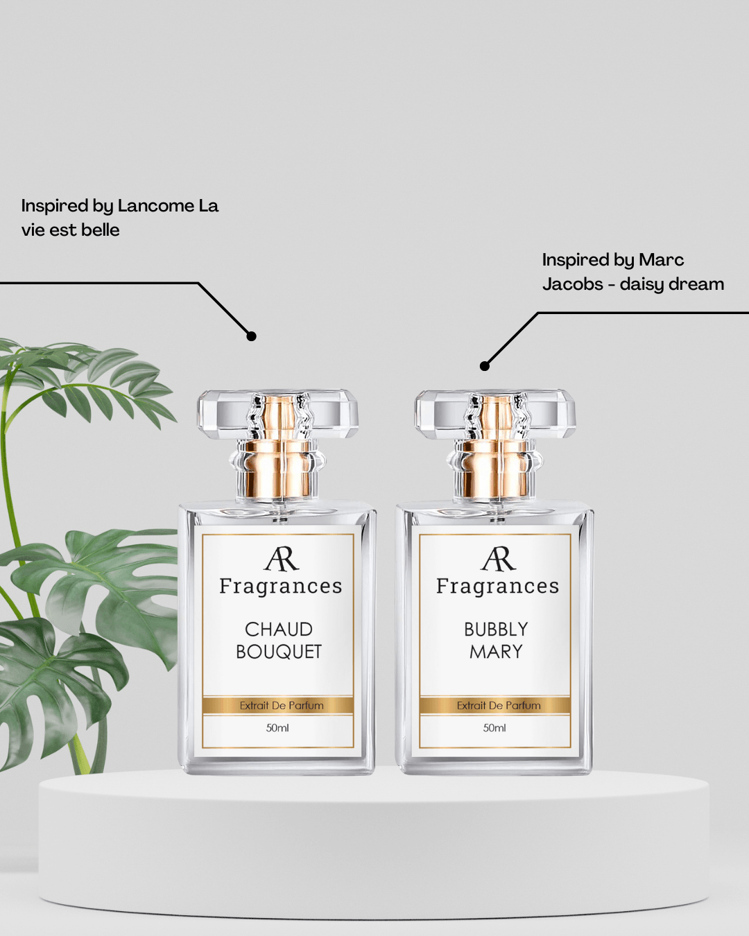 How To Spray Perfume On Your Body For A Long-lasting Smell – ARFRAGRANCES